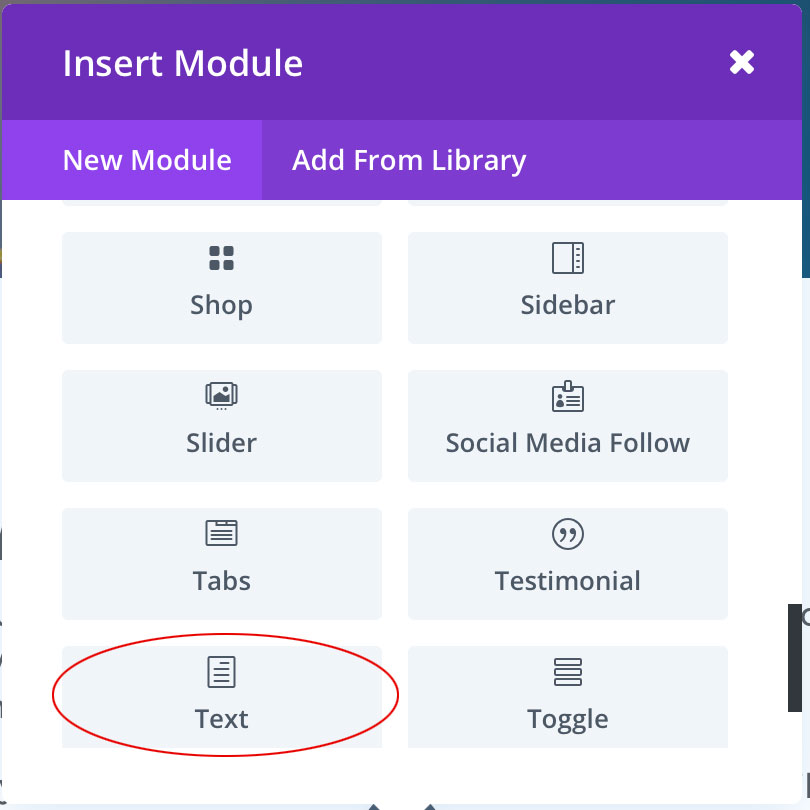 Adding Text Modules in Divi | Woodswork Training Tips